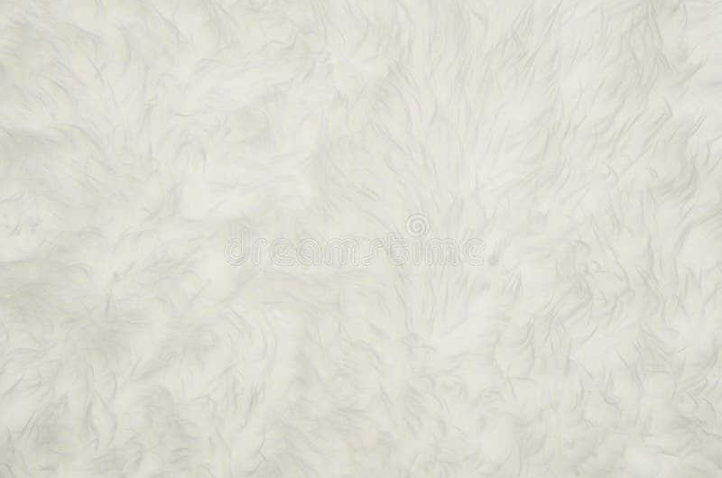 159,549 White Fluffy Texture Stock Photos - Free & Royalty-Free Stock ...