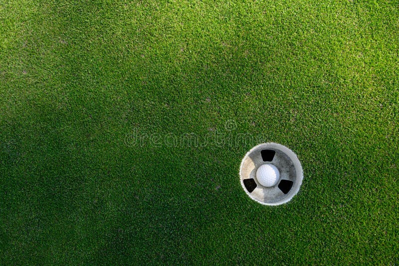 Closeup of White Golf Ball in the Cup on a Putting Green Stock Photo ...
