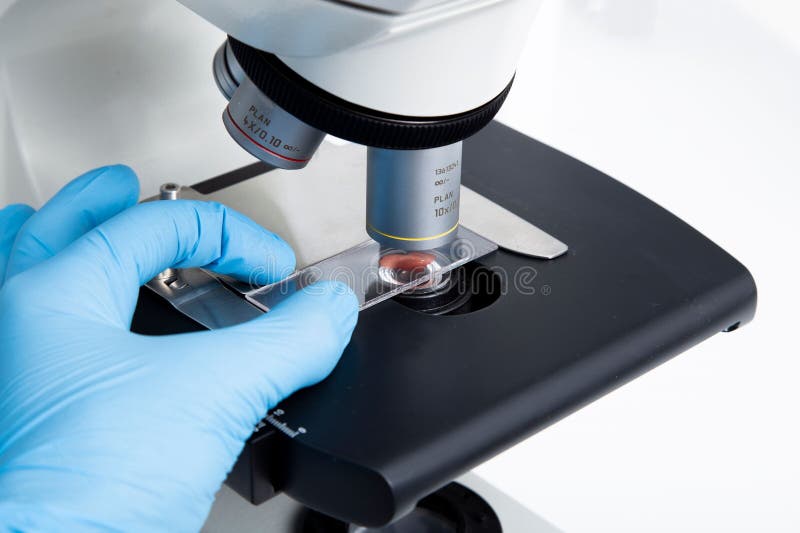 Closeup of a White Microscope in a Laboratory Setting Stock Image ...