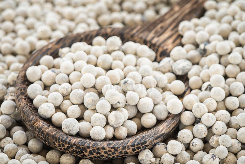 Closeup White Peppercorn with Wooden Scoop Stock Image - Image of ...