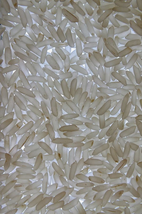 Close Up of Rice stock image. Image of natural, culture - 140006957
