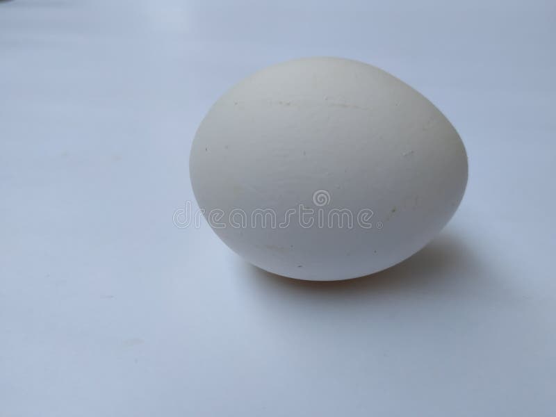 Closeup of White Single Chicken Egg Isolated on White Background Stock ...
