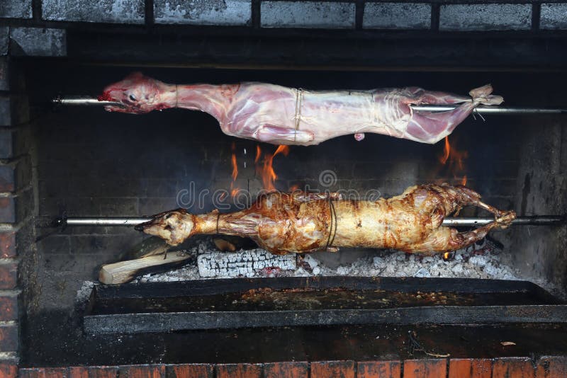 Closeup of Whole Raw Goat Being Roasted on a Spit Stock Image - Image ...