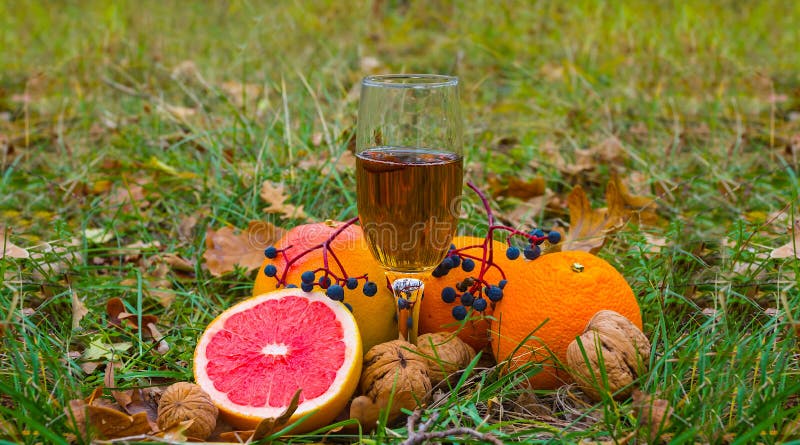 Wine Glass on Forest Glade among Fruit Stock Photo - Image of product ...