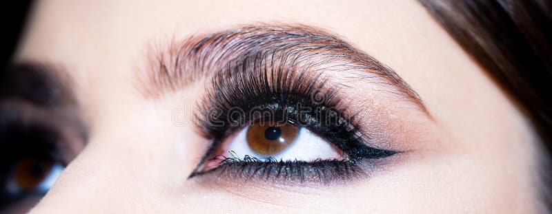 Closeup Woman Eye. Close Up Brows, Eyebrows Eye Make Up. Long Eyelashes ...