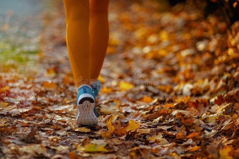 Hello Autumn. Closeup on Woman in the Park Walking Stock Image - Image ...