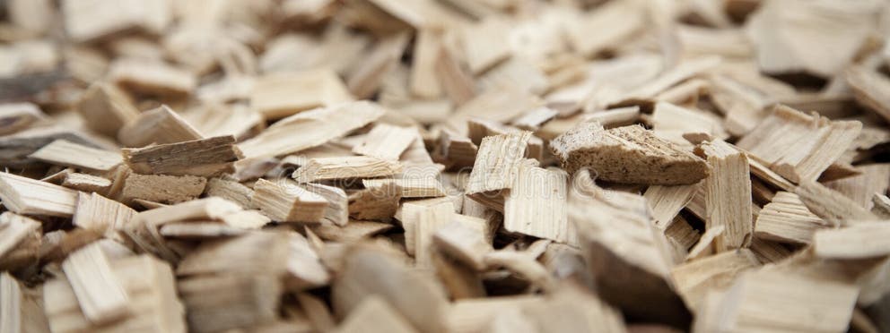 Closeup of wood chips stock photo. Image of tree, macro - 45157804