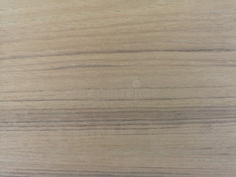 Wood Material Wall Burr Surface Texture Reflex Stock Photo - Image of ...