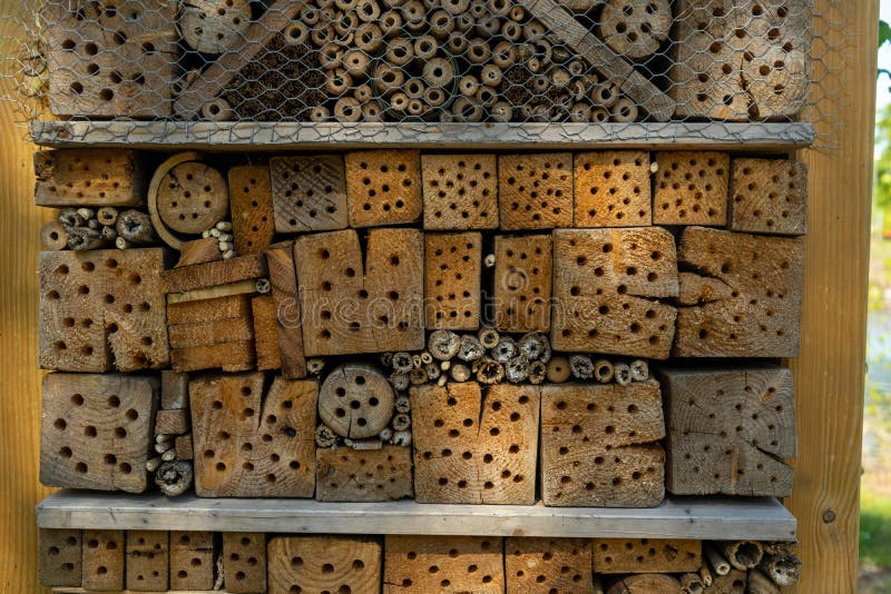Closeup of a Wooden Insect House - Bug Hotel in a Park Stock Photo ...