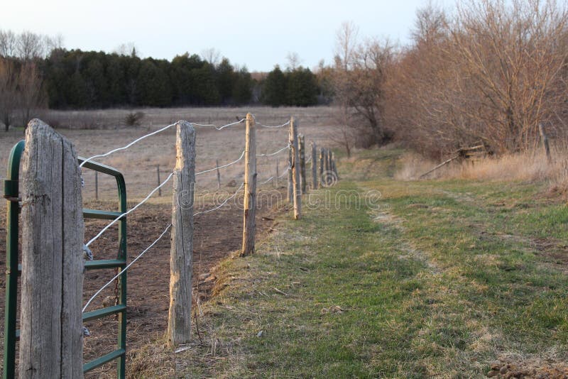 Closeup of Wooden Posts and Wire Fence on a Farm Stock Image - Image of ...