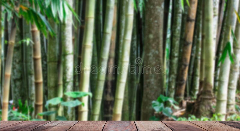 Closeup of a Wooden Surface with a Backdrop of Tall Bamboo Trees Stock ...