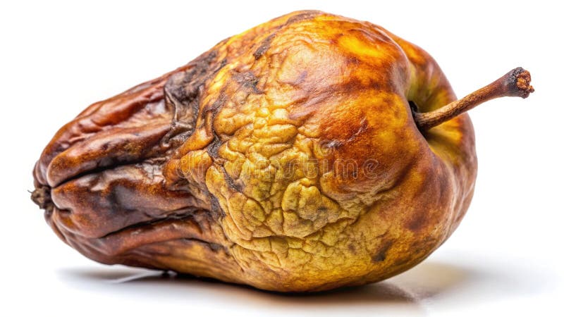 Closeup of a Wrinkled Decaying Pear a Detailed Study of Decomposition ...
