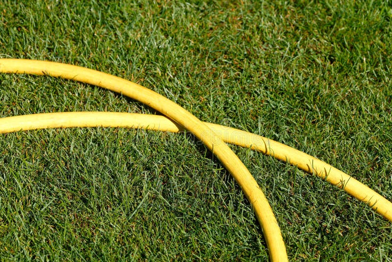 Closeup of a Yellow Hose Lying on Green Lawn Stock Photo - Image of ...