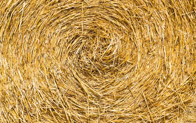 Closeup of a Yellow Round Straw Bale Stock Image - Image of cereal ...