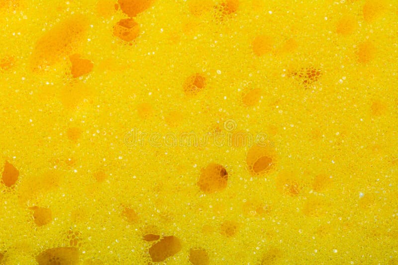 Closeup Yellow Sponge, Close-up Photography, Yellow Texture Stock Photo ...