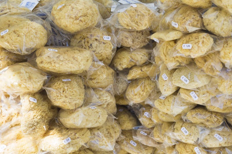 A Closup of a Natural Sponges Stock Image - Image of clean, bath: 69652149