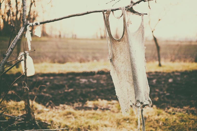 Cloth hanging on tree stock image. Image of hanging - 123355753