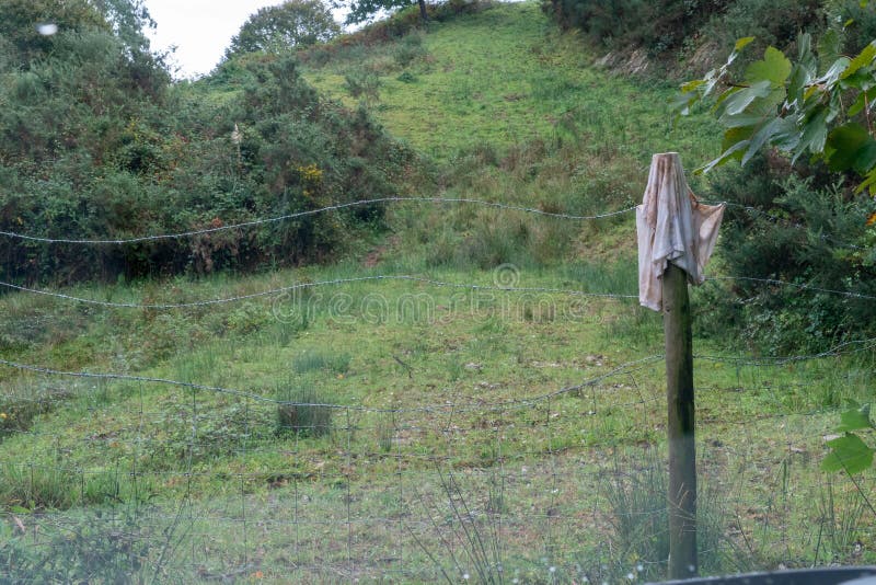 Cloth Rag Hanging on a Pole on a Barbed Wire in a Green Landscape Stock ...