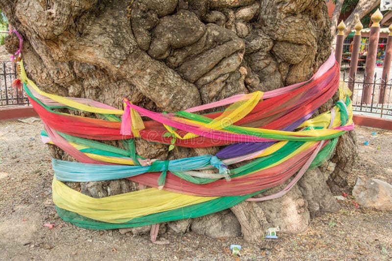 Cloth on Tree,thailand Faith Stock Photo - Image of orange, night: 67415076