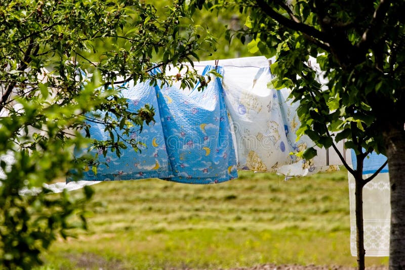 Clothes drying stock photo. Image of clothes, hung, trees - 5088332