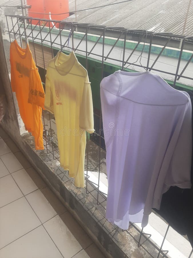 Clothes Fungus on Trellis Fence Editorial Stock Image - Image of fungus ...