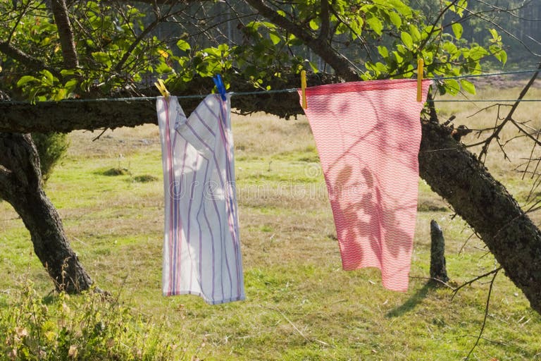 Clothes lines stock photo. Image of drying, clothespin - 28086330