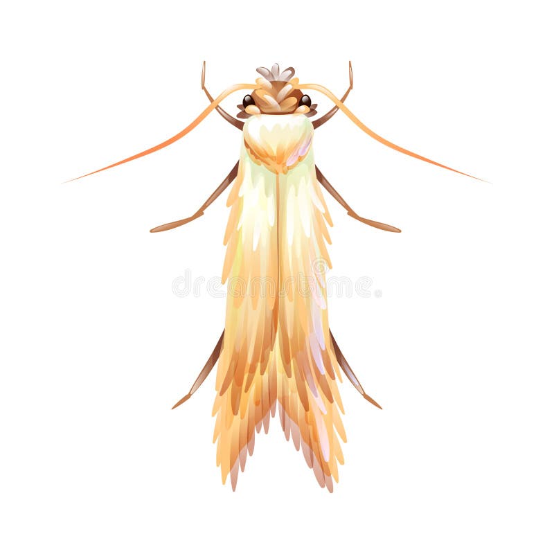 Cartoon Moth Clothes Stock Illustrations – 143 Cartoon Moth Clothes ...