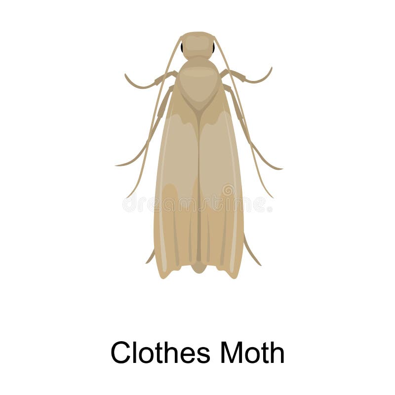 Cartoon Moth Clothes Stock Illustrations – 144 Cartoon Moth Clothes ...