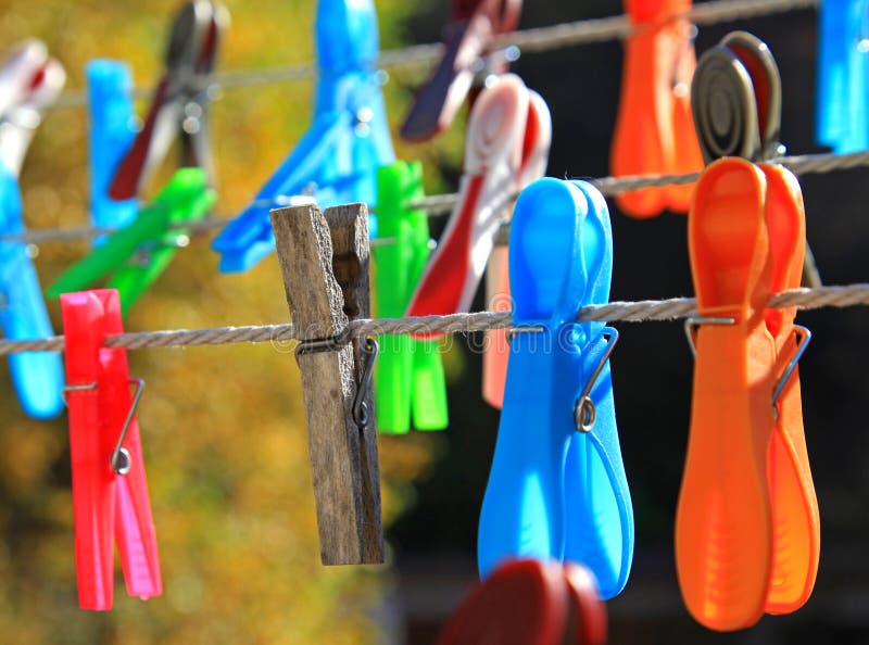 Clothes pegs stock photo. Image of clothesline, pegs - 34730490