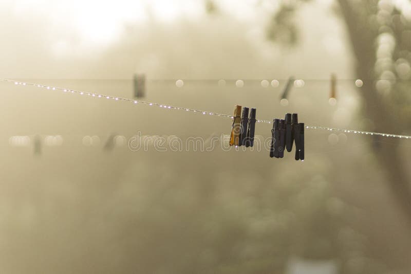 Clothes Pegs for Drying are Hanging on the Rope Stock Image - Image of ...