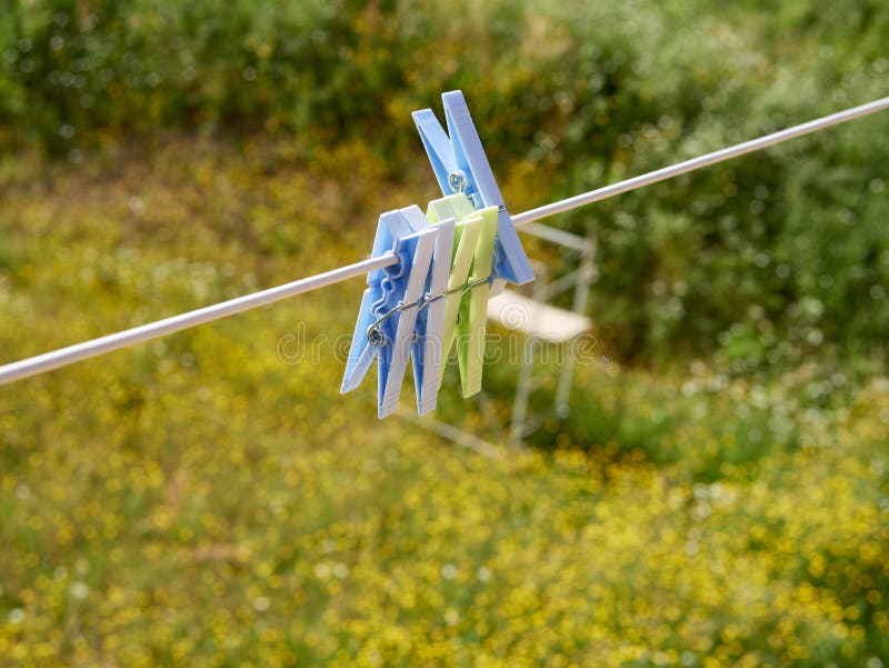 Clothes Pegs on the Washing Line Stock Image - Image of wood, housework ...