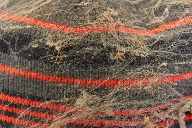 Clothes in Spider Silk,dark Clothes Covered with Cobwebs Stock Image ...