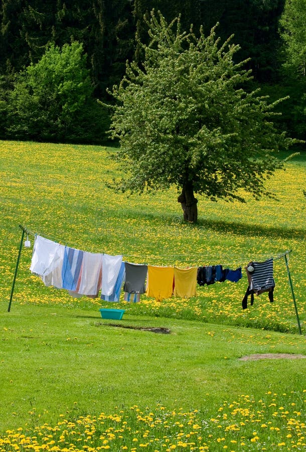 Clothesline in a Spring Field Stock Image - Image of green, home: 12081183