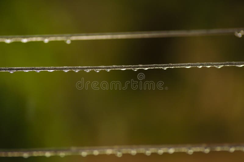 Clothing Lines of a Clothes Spin with Many Raindrops at the String in ...