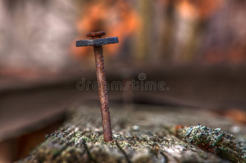 Clou rouillé image stock. Image du photographie, clou - 23280911
