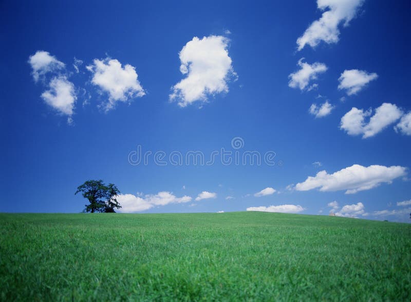 Cloud stock image. Image of cloud, clouds, sunlight, nature - 237555
