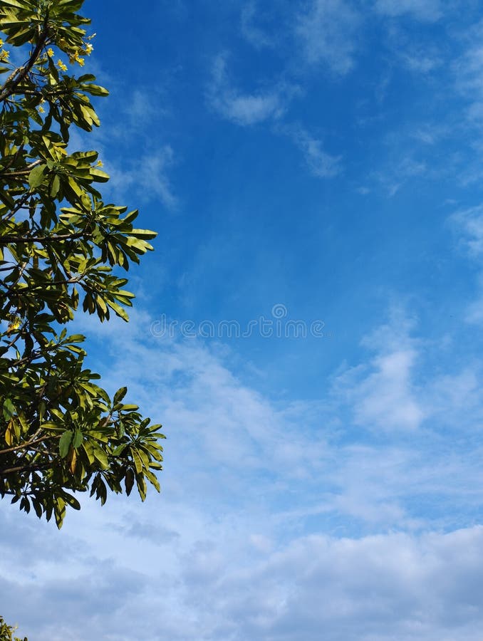 Cloud at Afternoon and Sky Blue is Very Cool Stock Photo - Image of ...