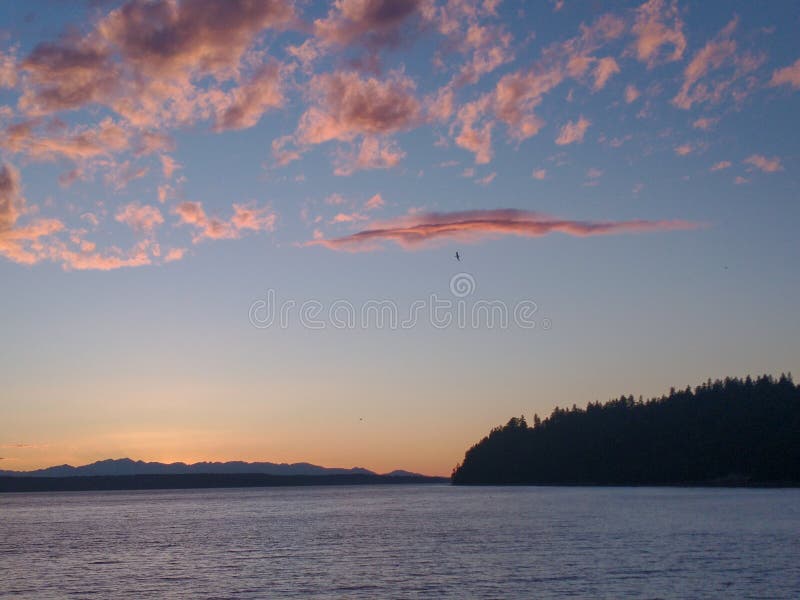 Cloud Bird and Real Bird stock image. Image of shapes - 250530999