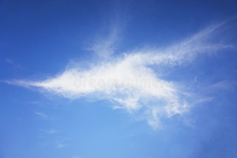 Cloud in bird shape stock image. Image of space, peace - 100164243