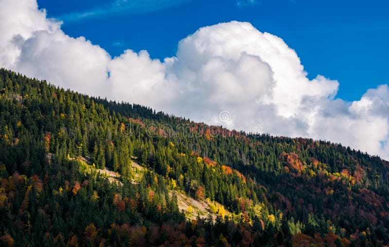 Cloud on a Blue Sky Over the Forest on Hill Stock Photo - Image of blue ...