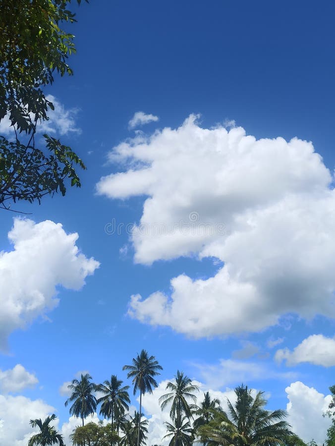 Cloud Clear Sky Bright Shady Trees Stock Photo - Image of clear, bright ...