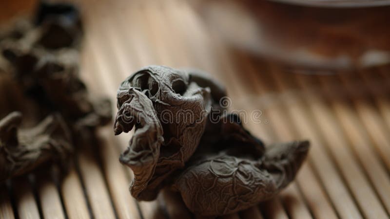 Cloud Ear Mushroom or Auricularia Polytricha Stock Photo - Image of ...