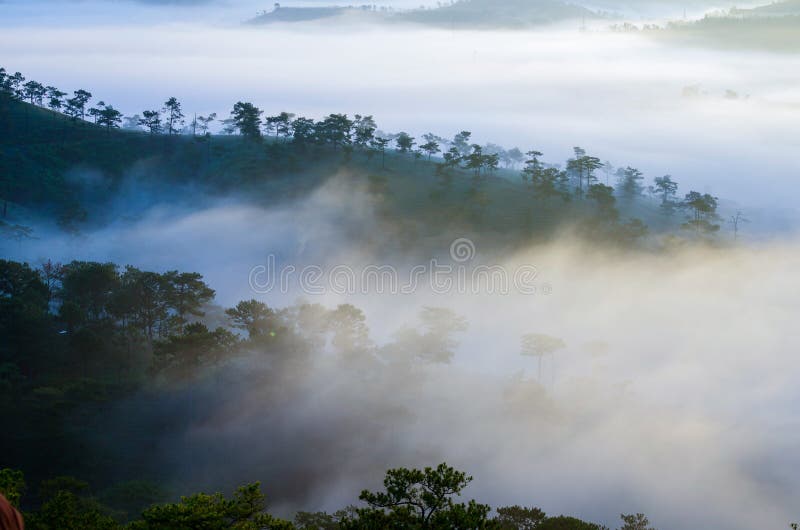 On the Cloud,Fog on the Mountain,Mist Over the Mountains Stock Image ...