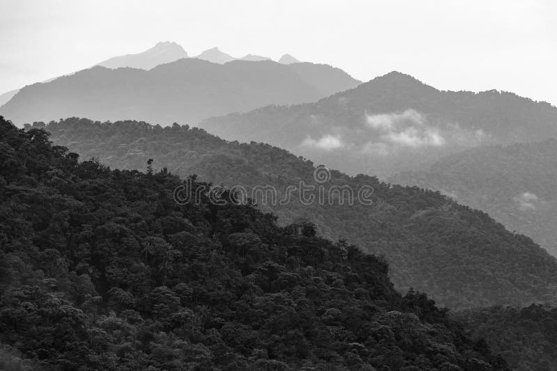 Cloud Forest and Andes Peaks Stock Photo - Image of hill, amazon: 267048864