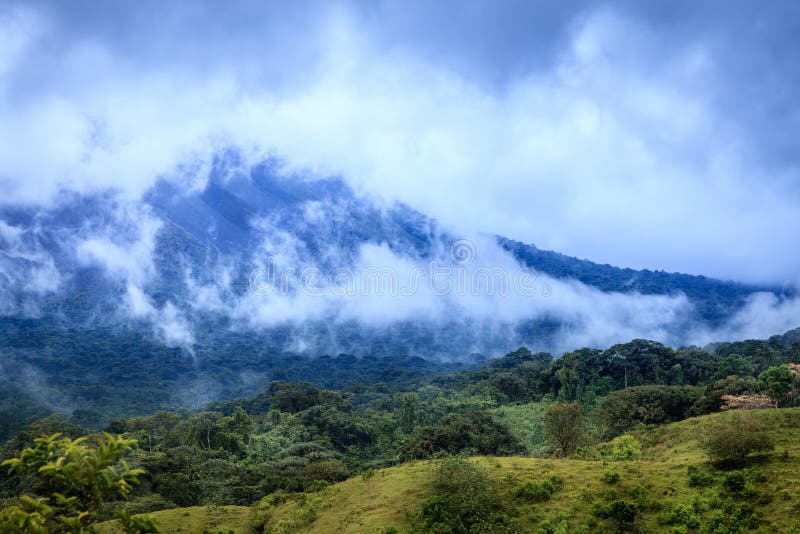 Cloud forest in Costa Rica stock image. Image of environment - 143453389