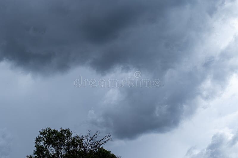 Cloud Formation Behind a Tree Looks Like Its on Fire Stock Photo ...
