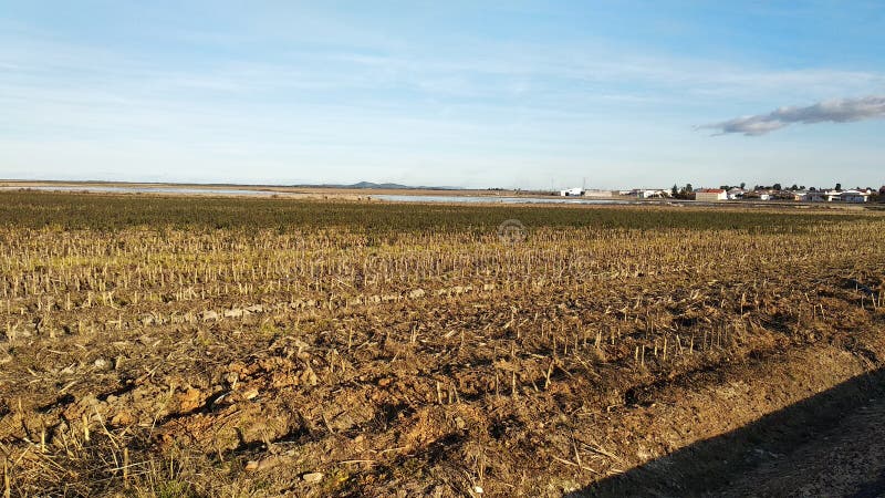 Cloud, groove, sun stock photo. Image of groove, puddle - 137513536