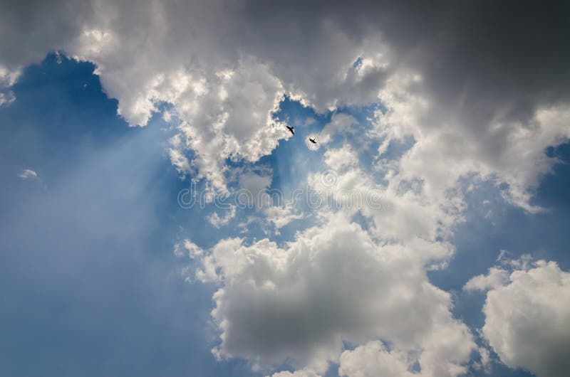 Cloud light sky stock photo. Image of space, clear, sunlight - 33972002