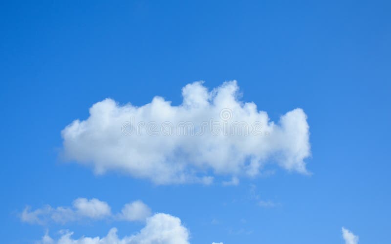 Cloud and fish stock photo. Image of animal, lagoon, diving - 21831380
