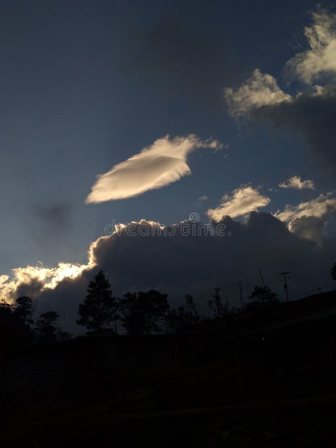 Cloud like fish in the sky stock photo. Image of fish - 237552294